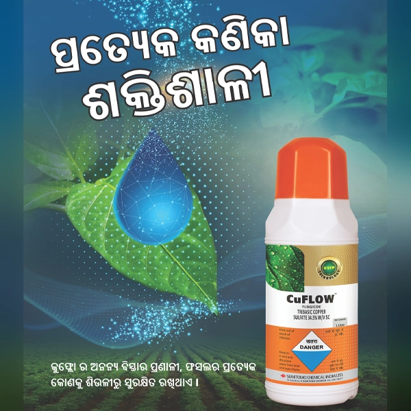 କୁଝୋ - ପ୍ରତ୍ୟେକ କଣିକା ଶକ୍ତିଶାଳୀ (Sumitomo cuflow)