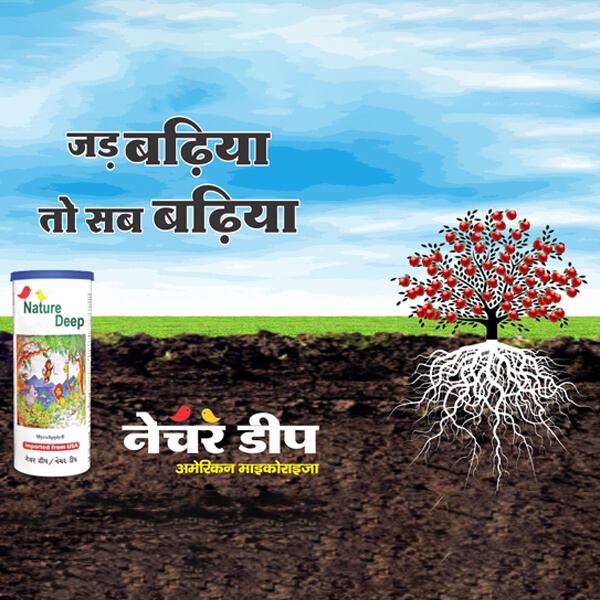 सेब की फसल में नेचरडीप (Sumitomo Naturedeep) के फायदे और इस्तेमाल के ...