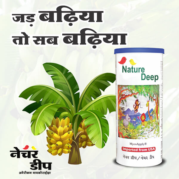 केले की फसल में नेचरडीप (Sumitomo Naturedeep) के फायदे और इस्तेमाल के ...