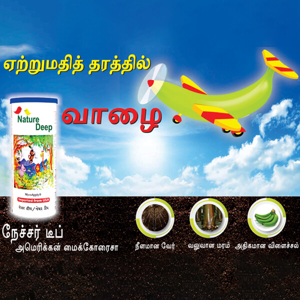 வேர்கள் நன்றாக இருக்குமானால் எல்லாமே நன்றாக இருக்கும் - நேச்சர் டீப் ...