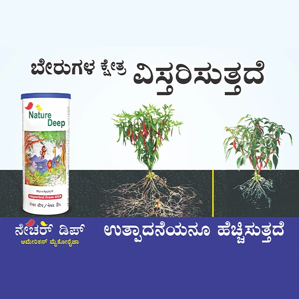 ಬೇರು ಉತ್ತಮವಾಗಿದ್ದರೆ ಎಲ್ಲವೂ ಉತ್ತಮವಾಗಿರುತ್ತದೆ - ನೇಚರ್ ಡಿಪ್ (ಅಮೇರಿಕಾನ್ ...