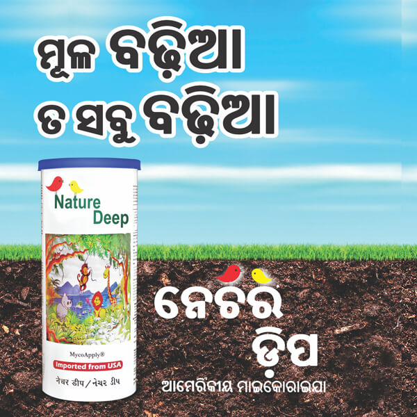 ମୂଳ ବଢ଼ିଆ ତସବୁ ବଢ଼ିଆ - ନେଚର ଡ଼ିପ (Sumitomo NatureDeep), ଆମେରିକୀୟ ମାଇକୋରାଇଯା