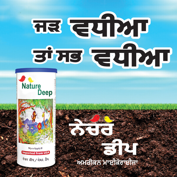 ਜਦ ਵਧੀਆ ਤਾਂ ਸਭ ਵਧੀਆ - ਨੇਚਰ ਡੀਪ (Sumitomo Naturedeep), ਅਮਰੀਕਨ ਮਾਈਕੋਰਾਈਜਾ