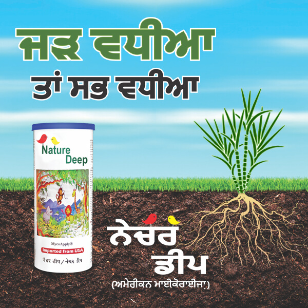 ਜਦ ਵਧੀਆ ਤਾਂ ਸਭ ਵਧੀਆ - ਨੇਚਰ ਡੀਪ (Sumitomo Naturedeep), ਅਮਰੀਕਨ ਮਾਈਕੋਰਾਈਜਾ