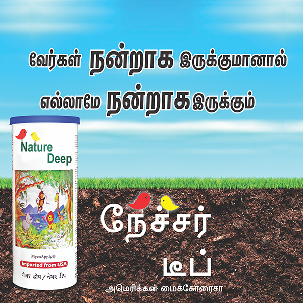 வேர்கள் நன்றாக இருக்குமானால் எல்லாமே நன்றாக இருக்கும் - நேச்சர் டீப் ...