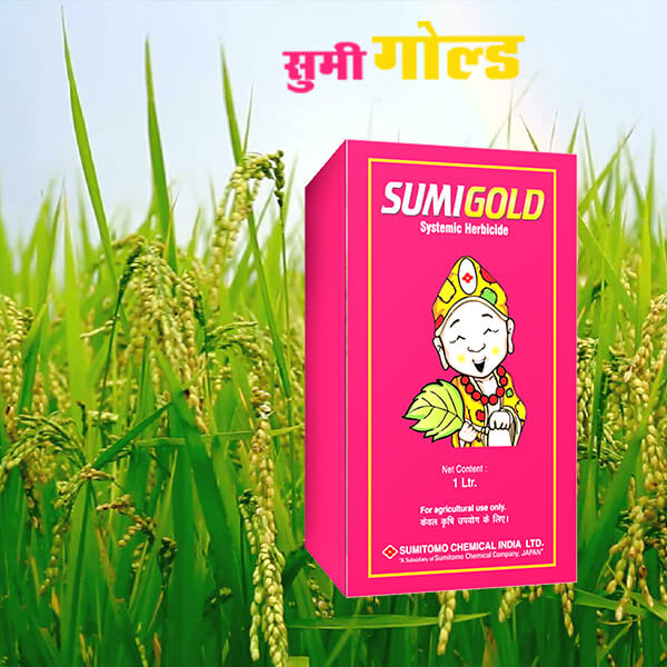 धान का भरोसेमंद खरपतवार नाशक - सुमिगोल्ड (Sumitomo SumiGold)