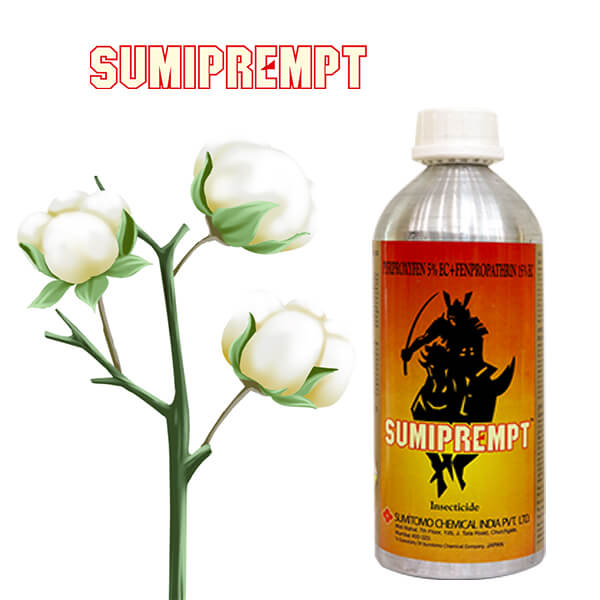 सुमि प्रेमप्ट (Sumitomo SumiPrempt) - सफेद मक्खी का एक प्रमाणित समाधान